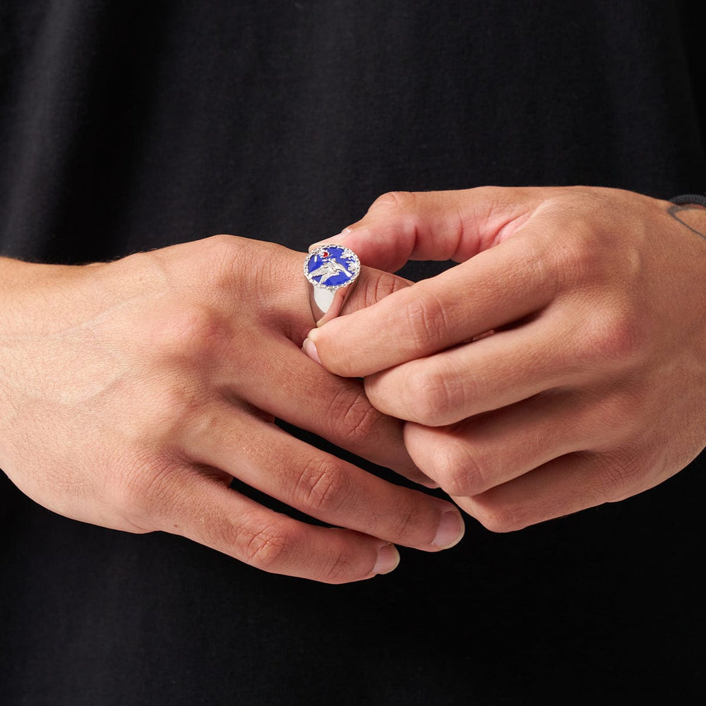 Enamel Swallow Men's Signet Ring (Silver)